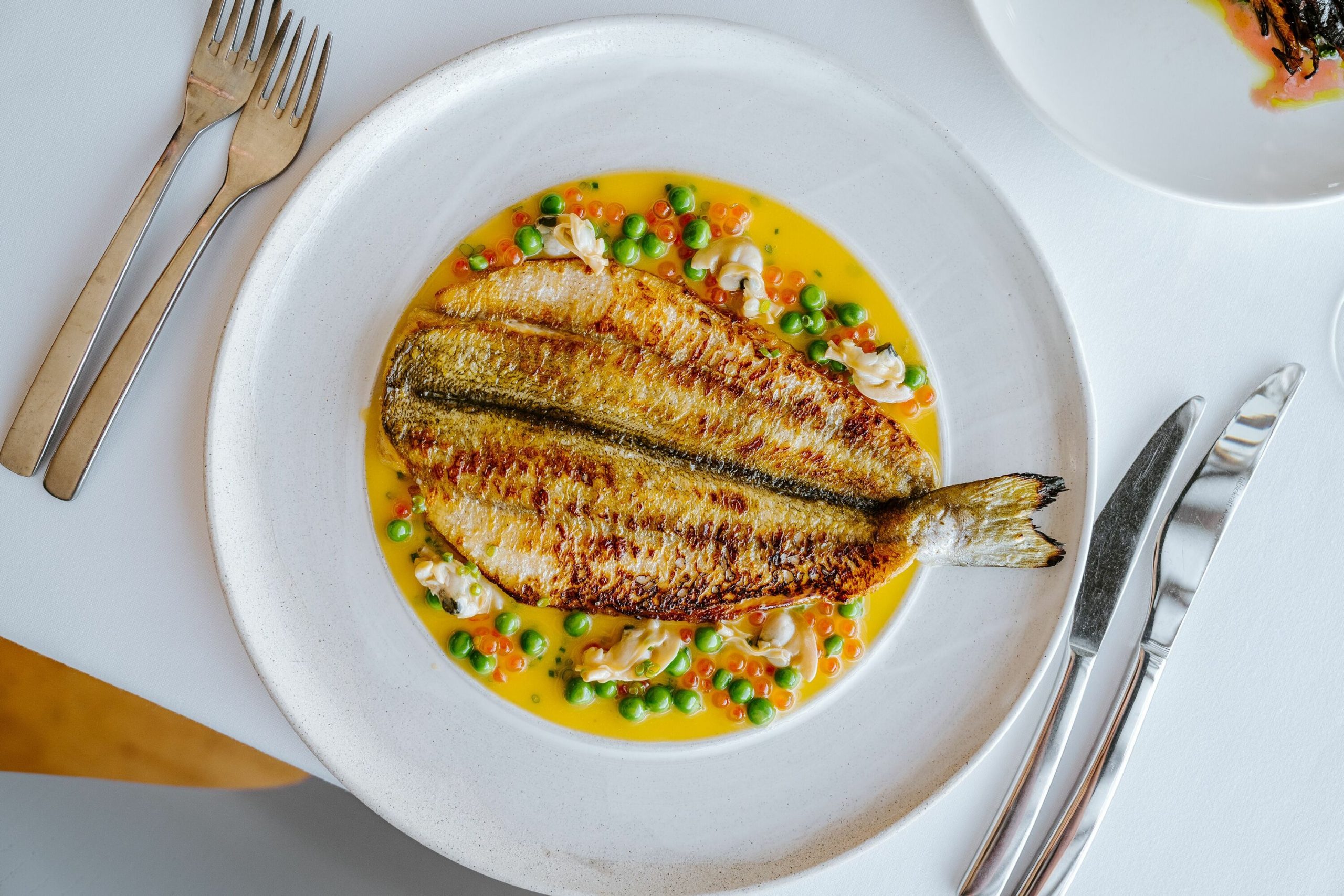 image-scaled-1 - PikMo